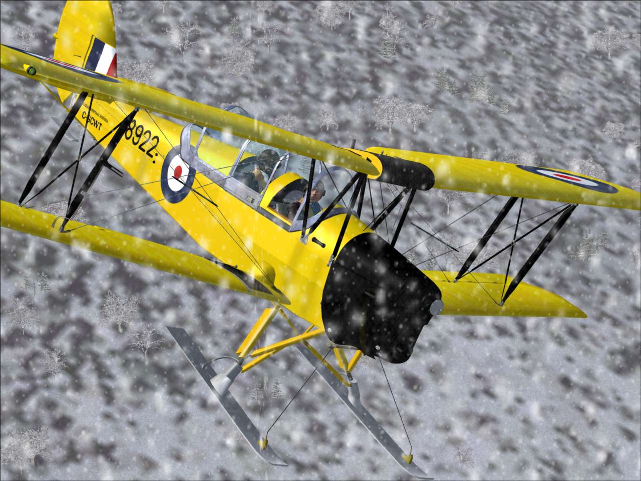 Just Flight - Tiger Moth Float and Ski Double Pack
