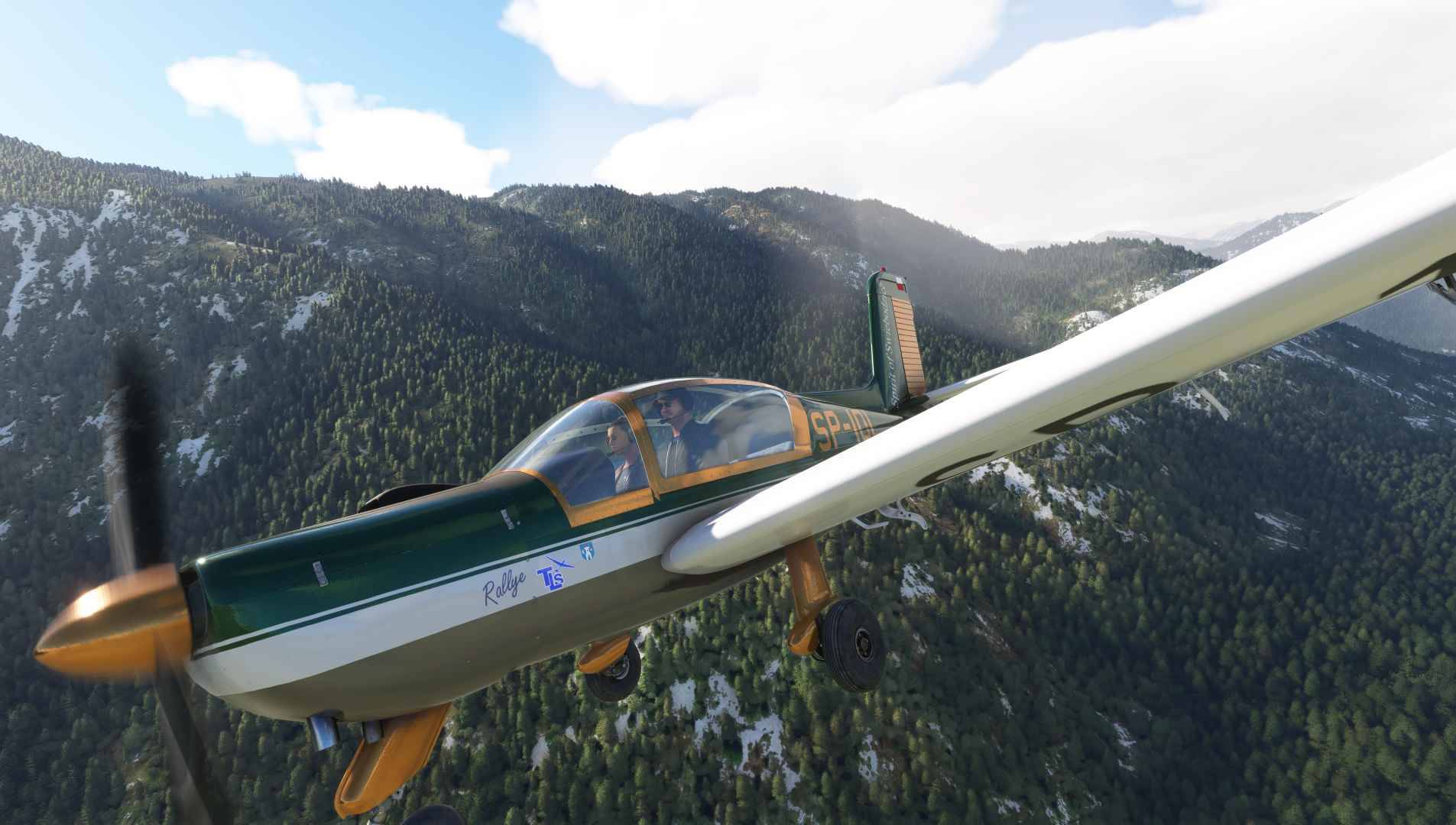 Just Flight - Aeroplane Heaven Socata Rallye MS-893