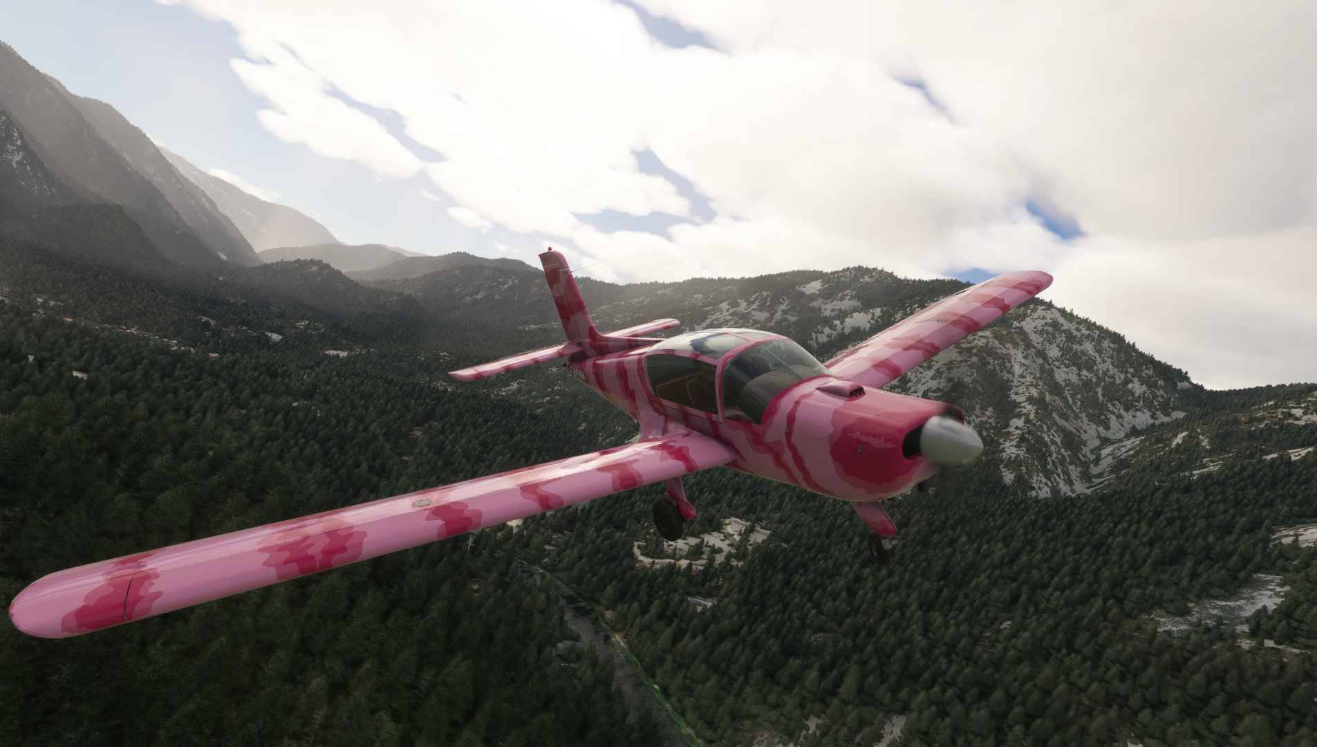 Just Flight - Aeroplane Heaven Socata Rallye MS-893