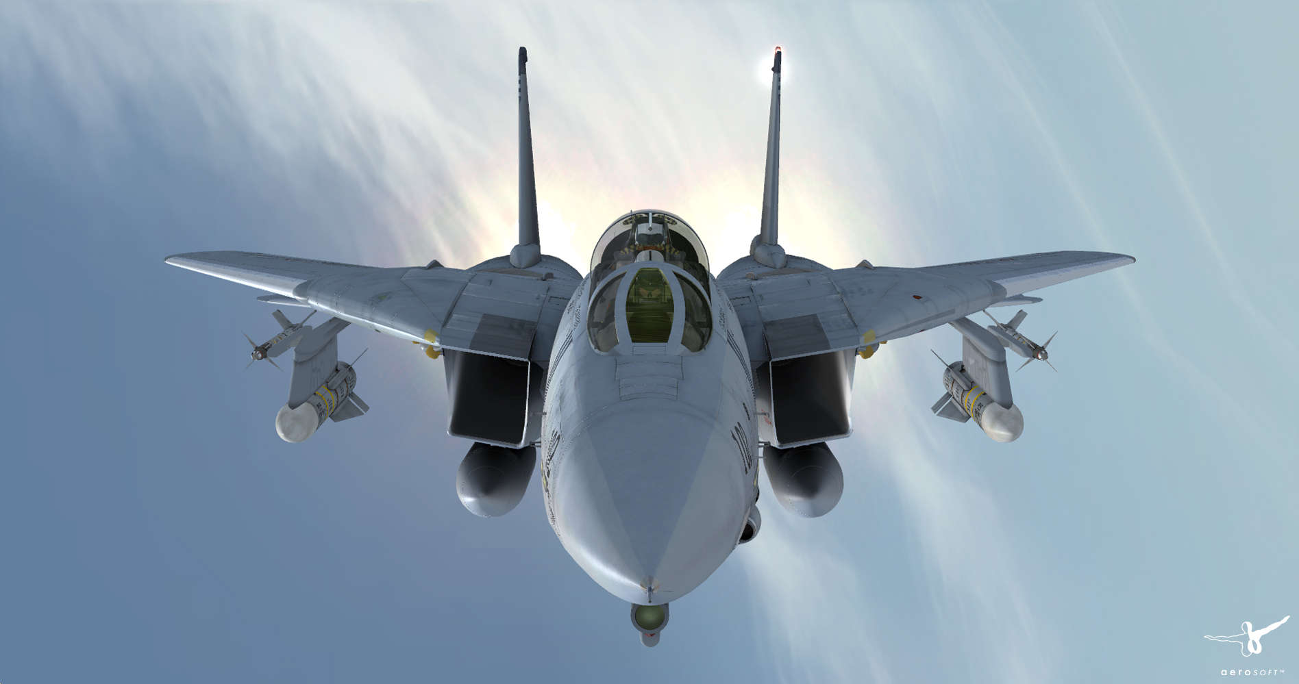 Just Flight - F-14 Extended