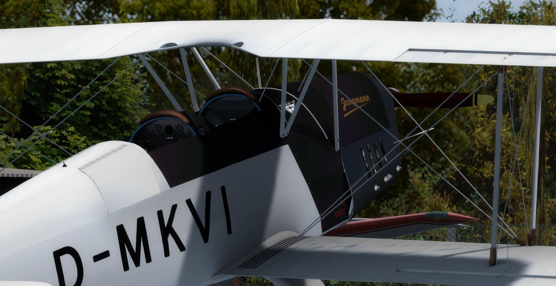 Just Flight - B&F Fk131 Bücker Jungmann