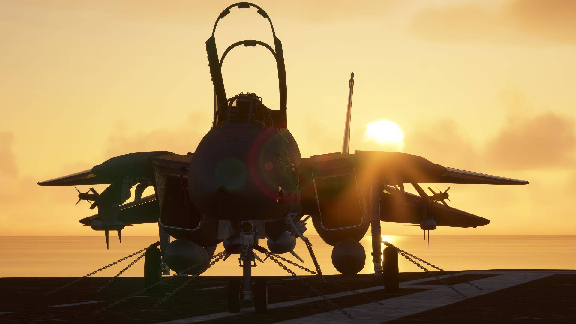 Just Flight - DC Designs F-14 A/B Tomcat