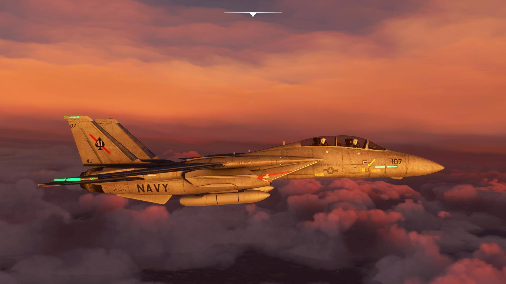 Just Flight - DC Designs F-14 A/B Tomcat