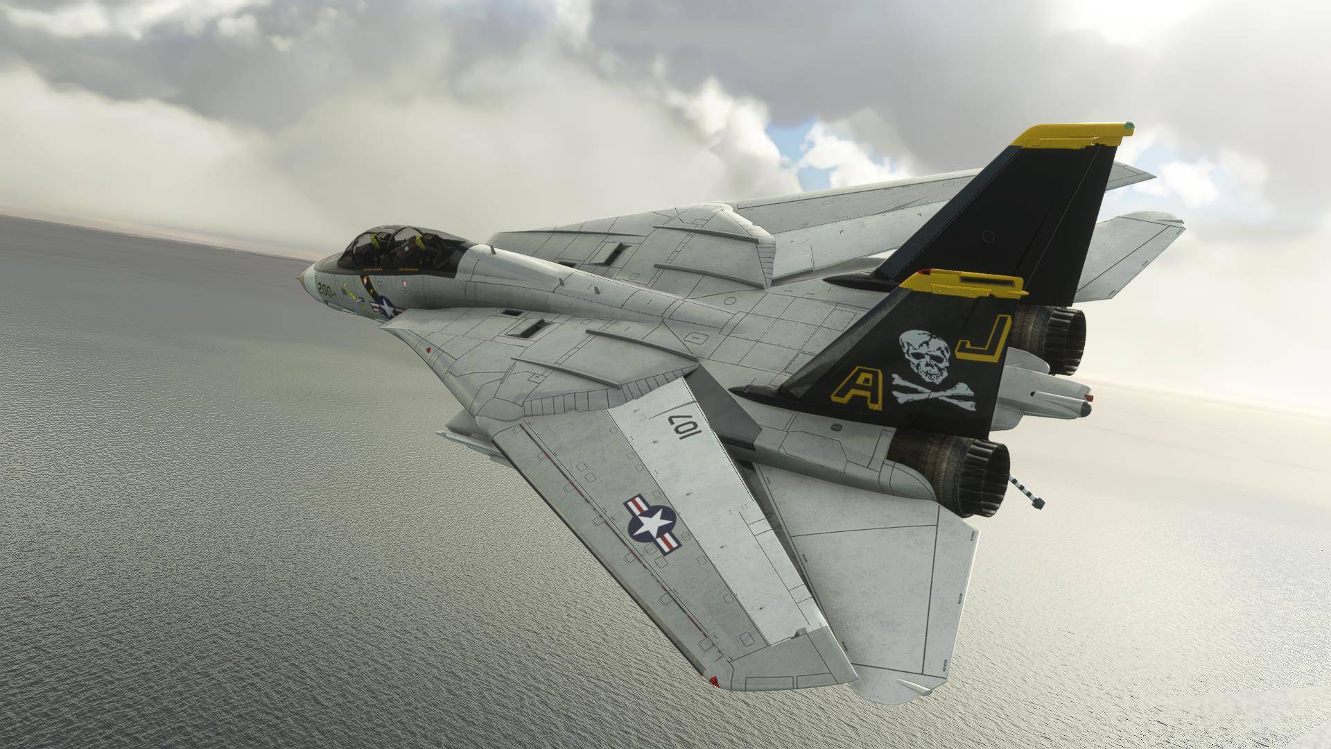 Just Flight - DC Designs F-14 A/B Tomcat