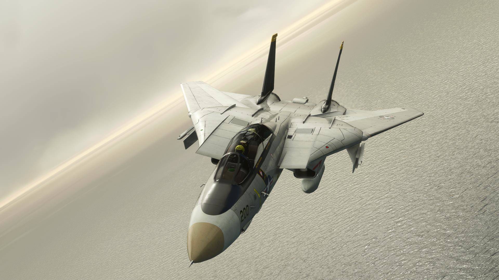 Just Flight - DC Designs F-14 A/B Tomcat