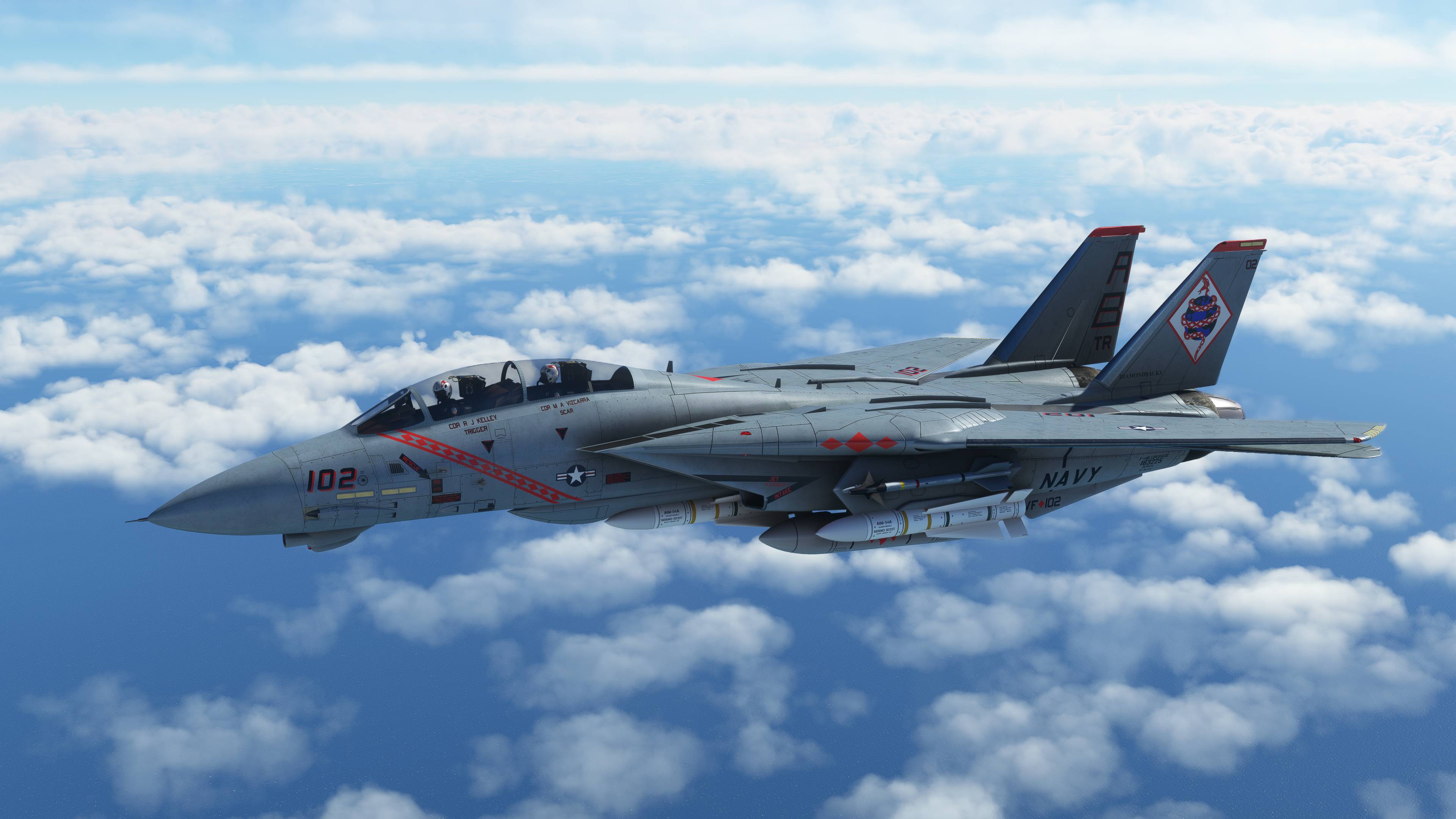 Just Flight - DC Designs F-14 A/B Tomcat