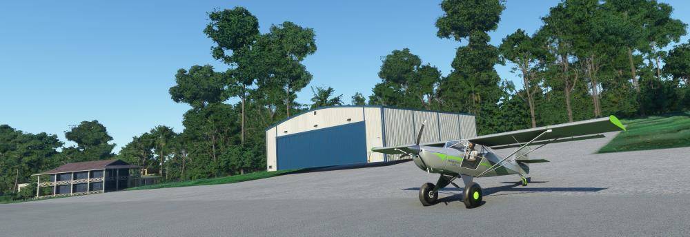 Just Flight - RCS Extreme Bush Flights Indonesia