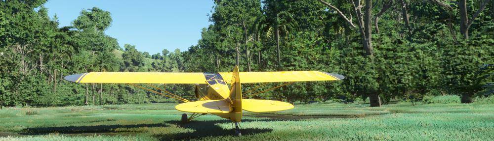 Just Flight - RCS Extreme Bush Flights Indonesia