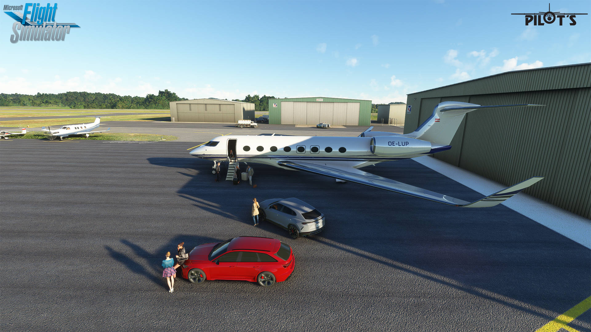 Just Flight - PILOT'S - KLYH - Lynchburg Regional Airport