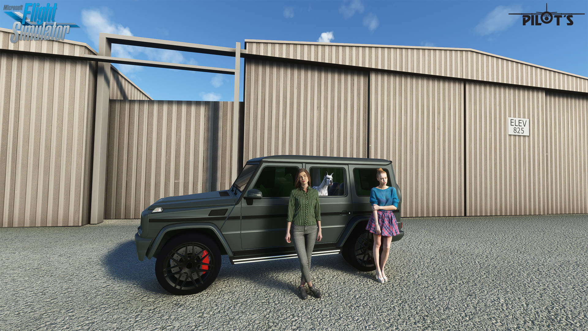 Just Flight - PILOT'S - W24 - Falwell Airport