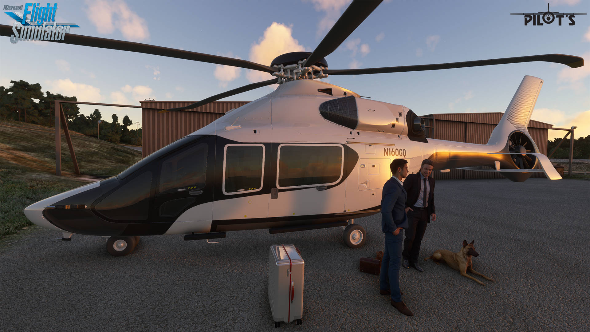 Just Flight - PILOT'S - W24 - Falwell Airport