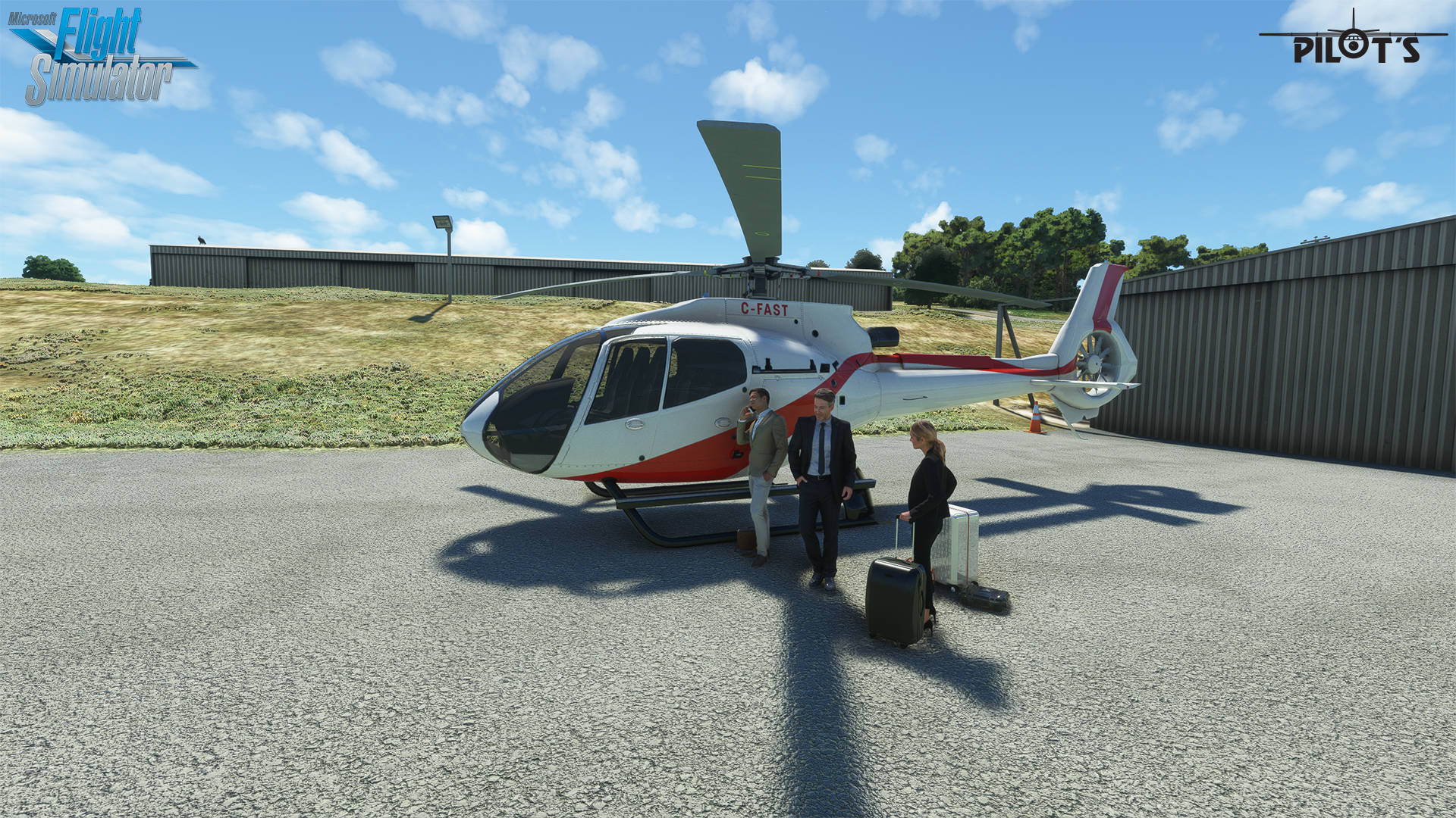 Just Flight - PILOT'S - W24 - Falwell Airport