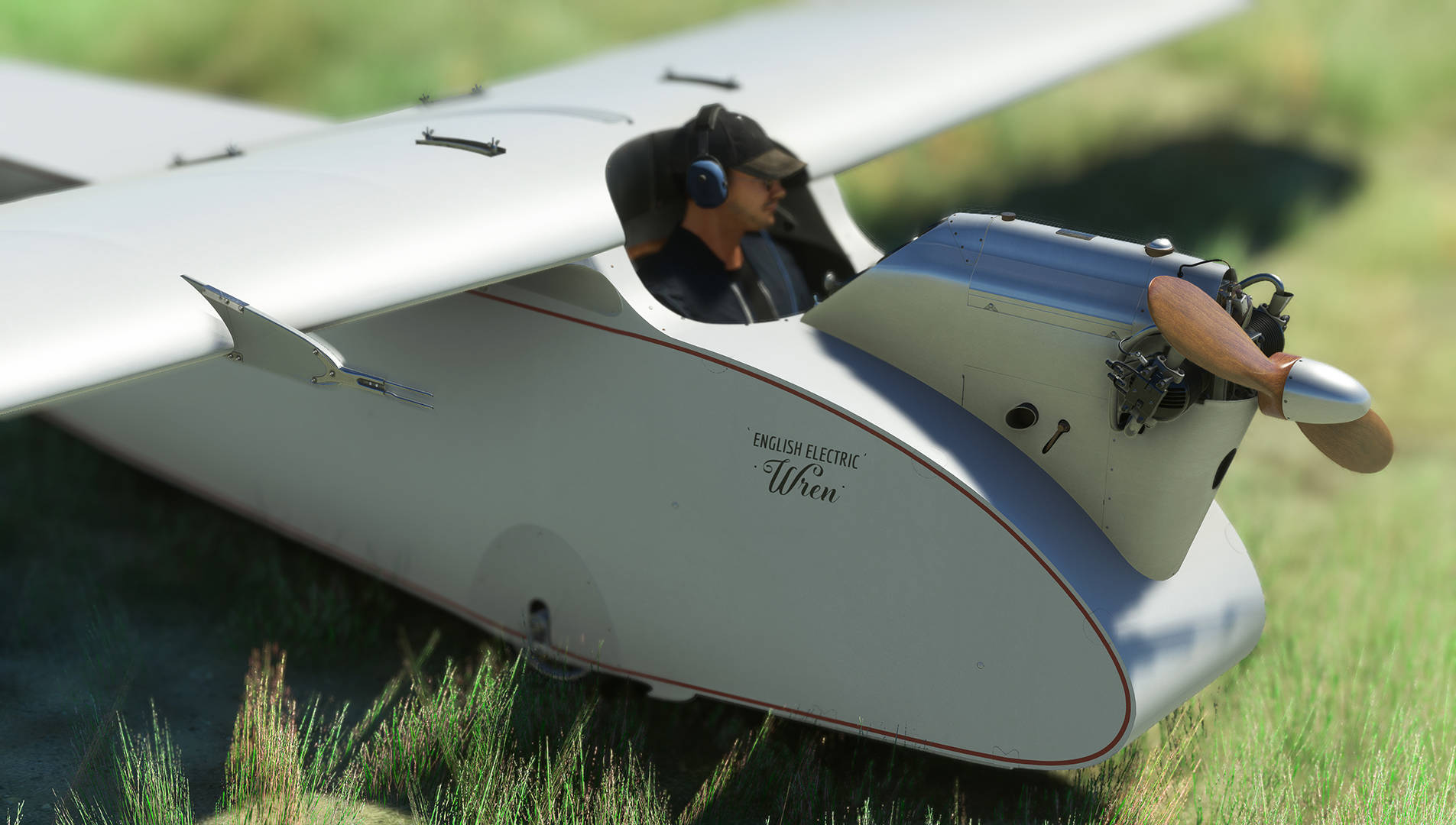 Just Flight - Rara-Avis Sim English Electric Wren