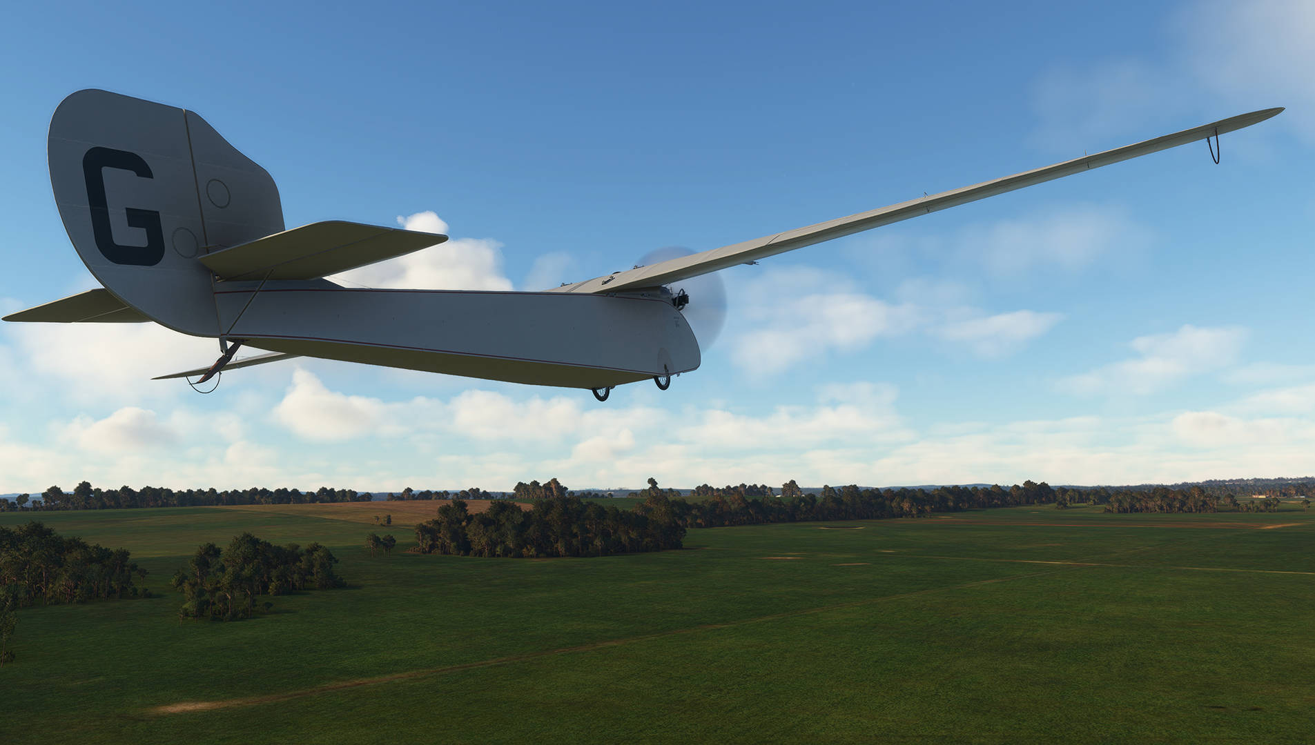 Just Flight - Rara-Avis Sim English Electric Wren