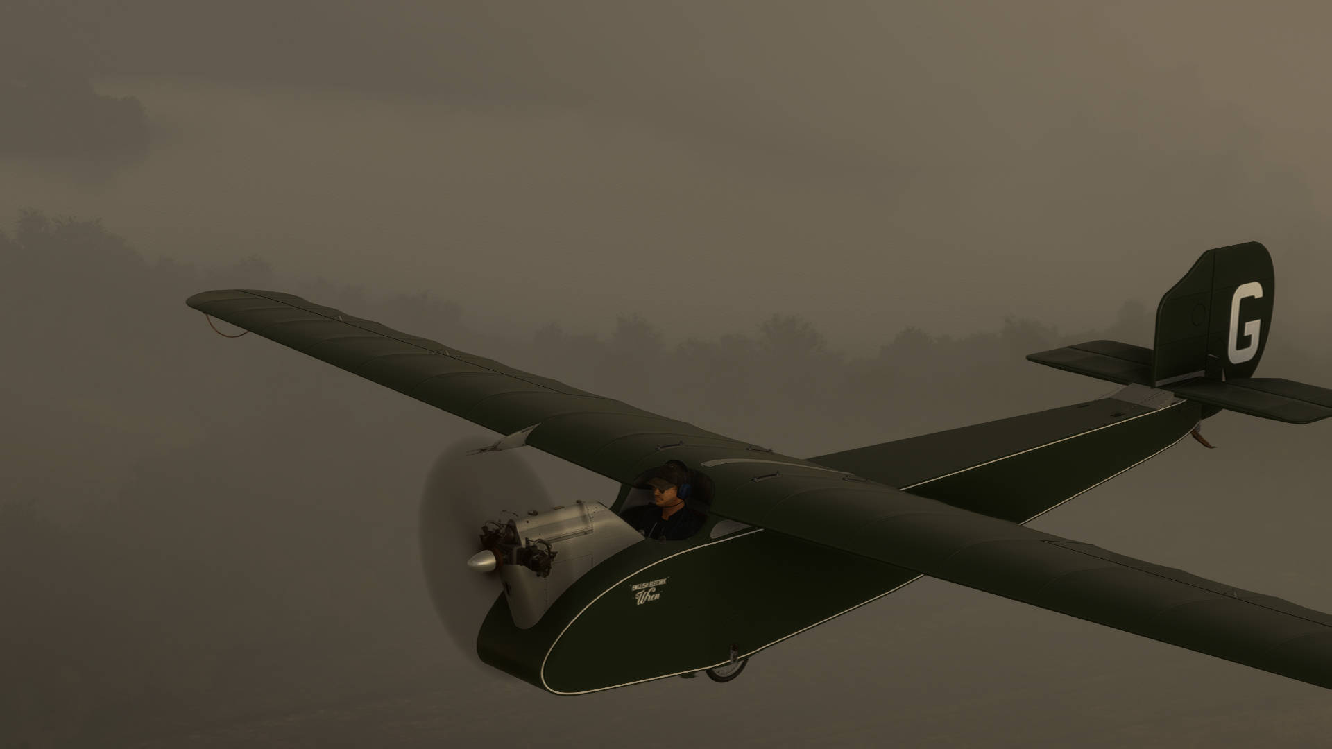 Just Flight - Rara-Avis Sim English Electric Wren