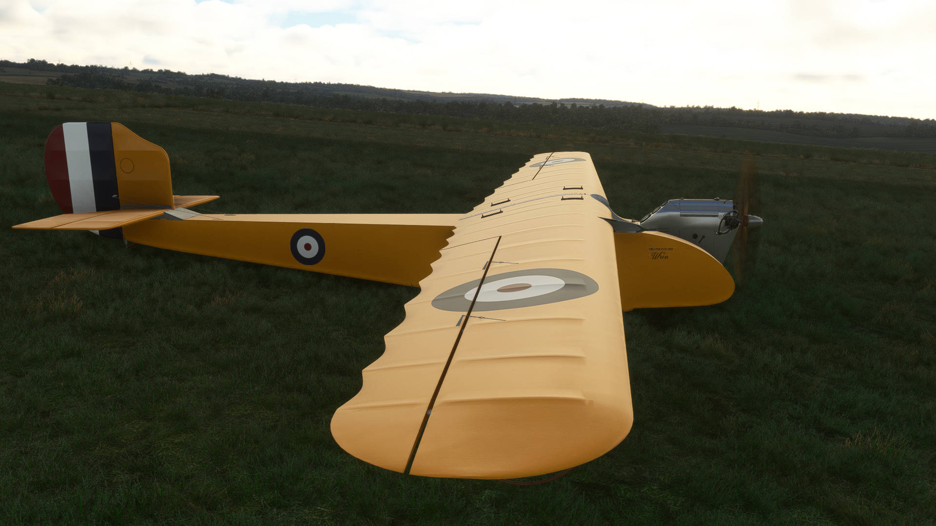 Just Flight - Rara-Avis Sim English Electric Wren