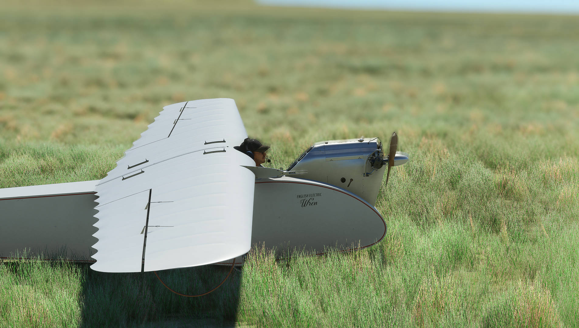 Just Flight - Rara-Avis Sim English Electric Wren