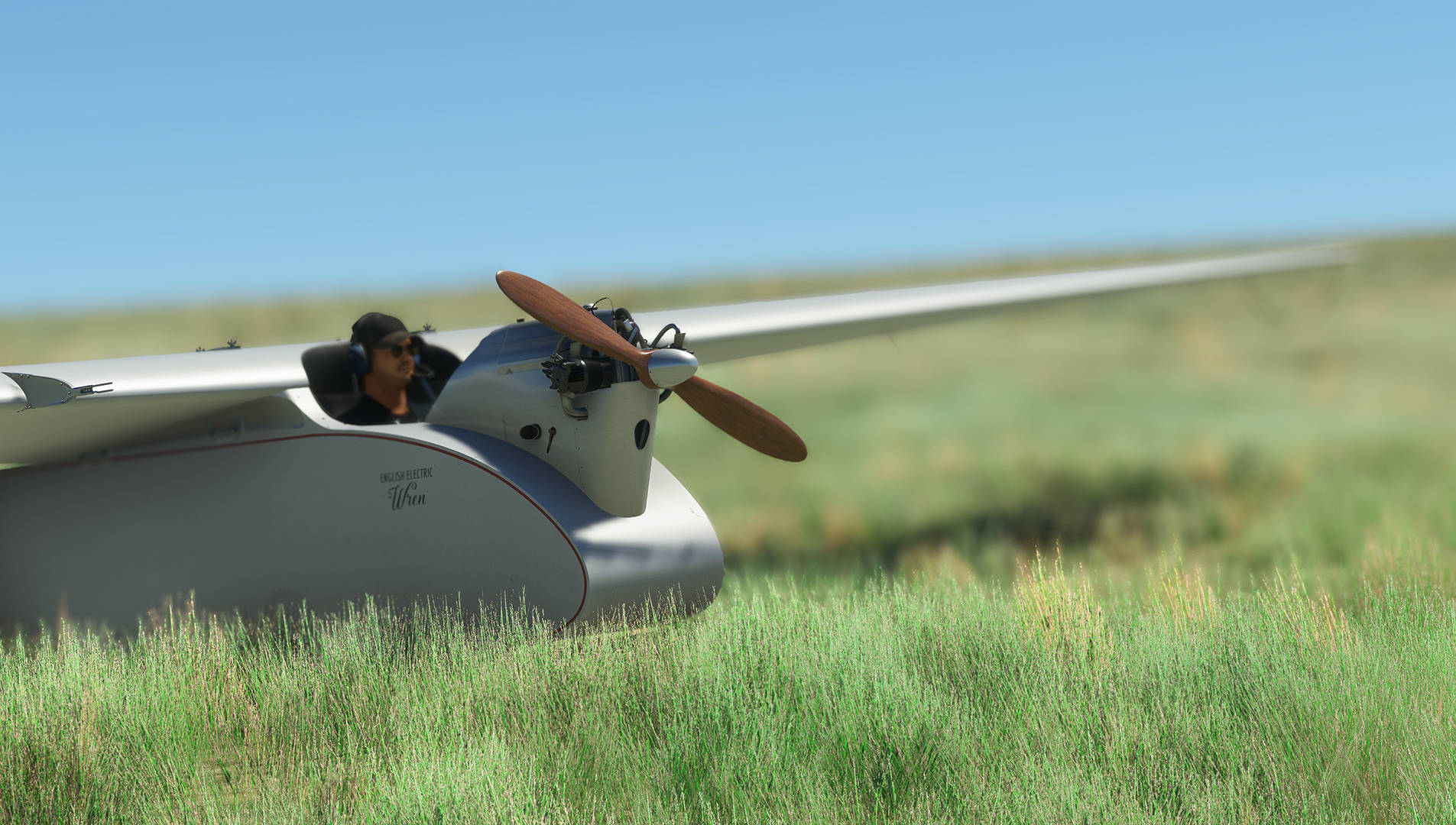 Just Flight - Rara-Avis Sim English Electric Wren