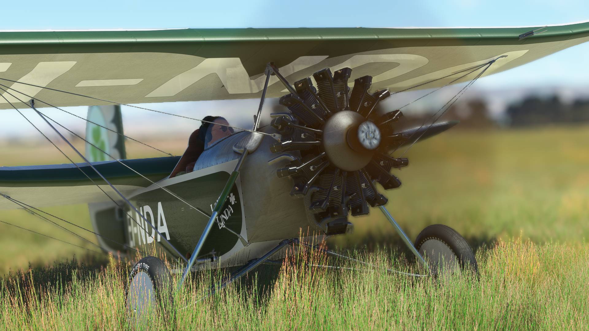 Just Flight - Rara-Avis Sim Flying Flea