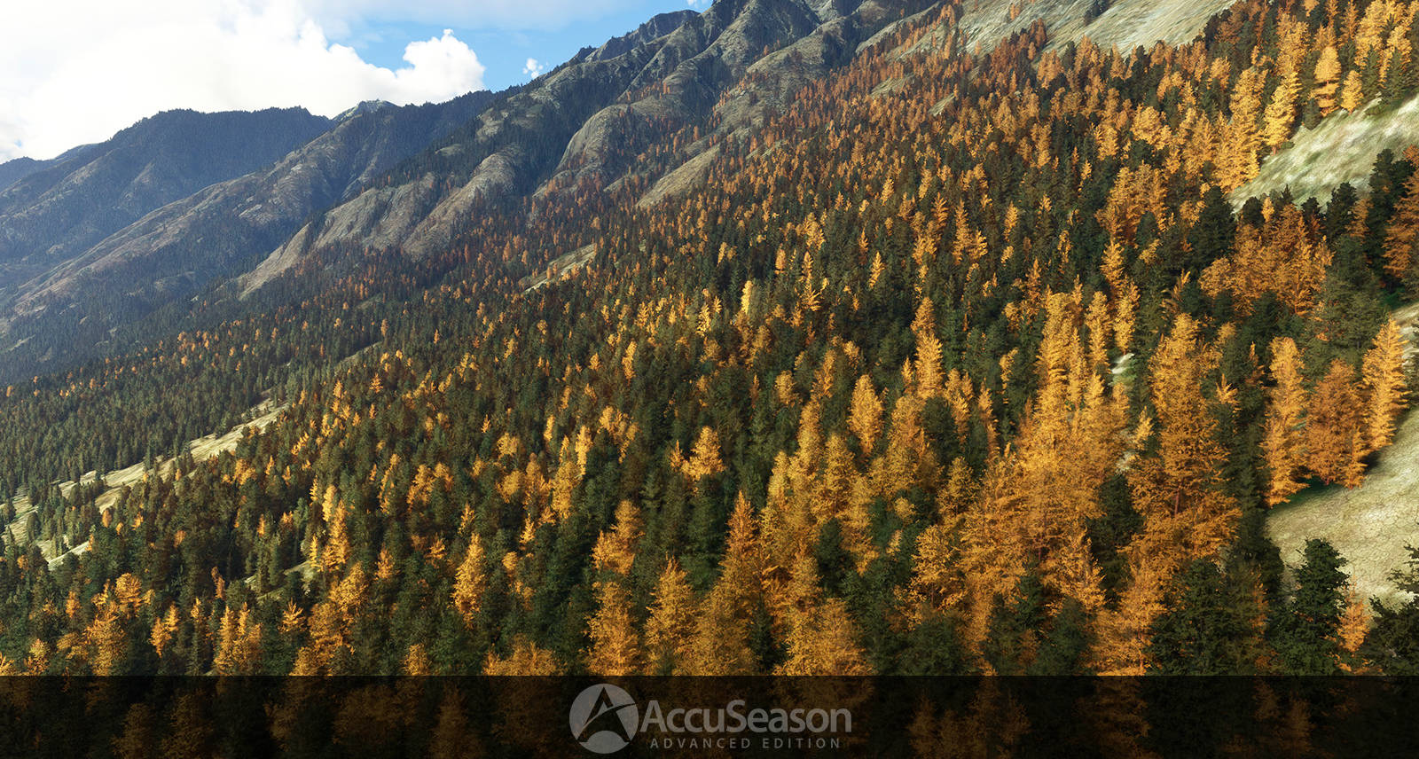 Just Flight - REX AccuSeason Advanced Edition