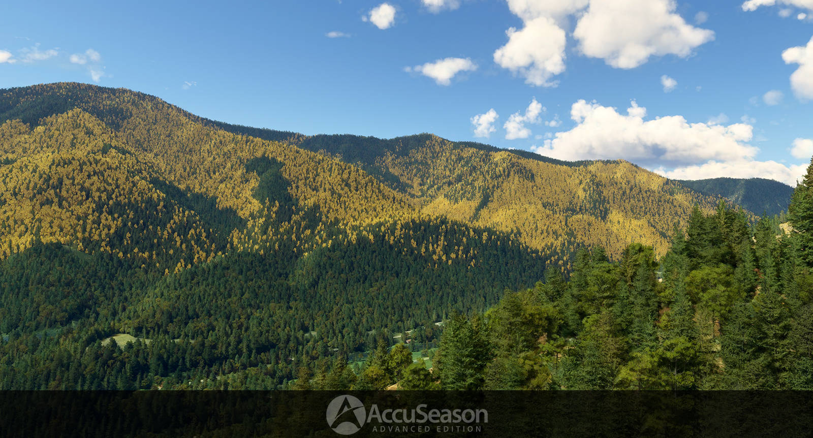 Just Flight - REX AccuSeason Advanced Edition